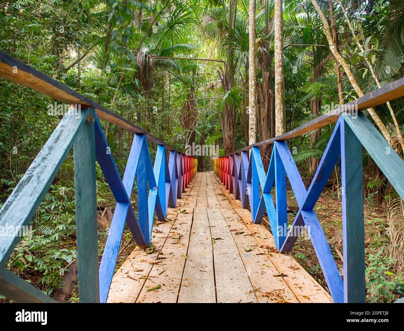Rainbow bridge leading to paradise - the magical Amazon jungle ...