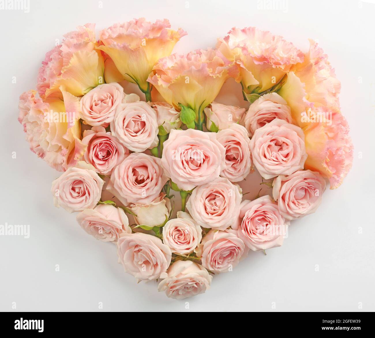 Heart shaped roses on white background Stock Photo - Alamy