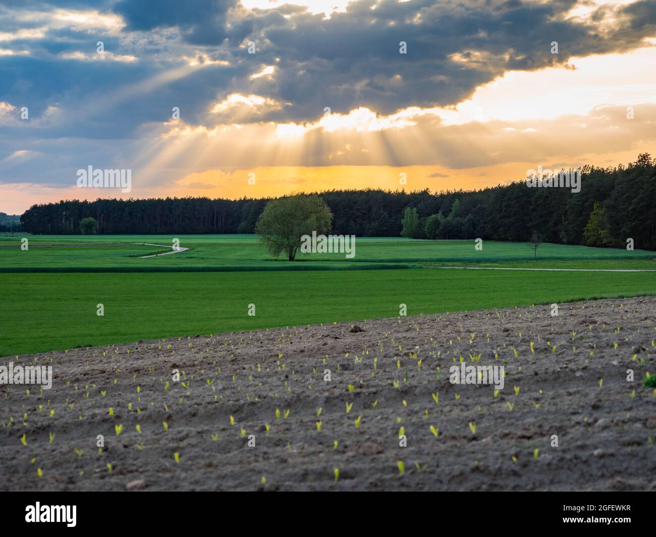 A countryside road during spring time. Podlasie. Podlachia. Poland ...