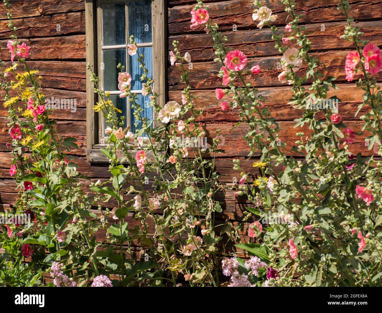 Swidish architecture hi-res stock photography and images - Alamy