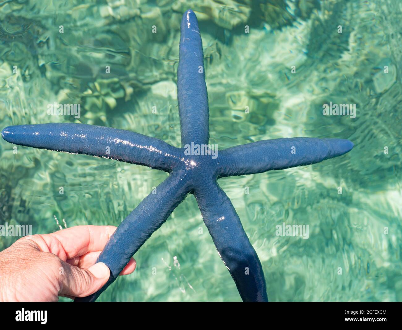 Seram woman hi-res stock photography and images - Alamy