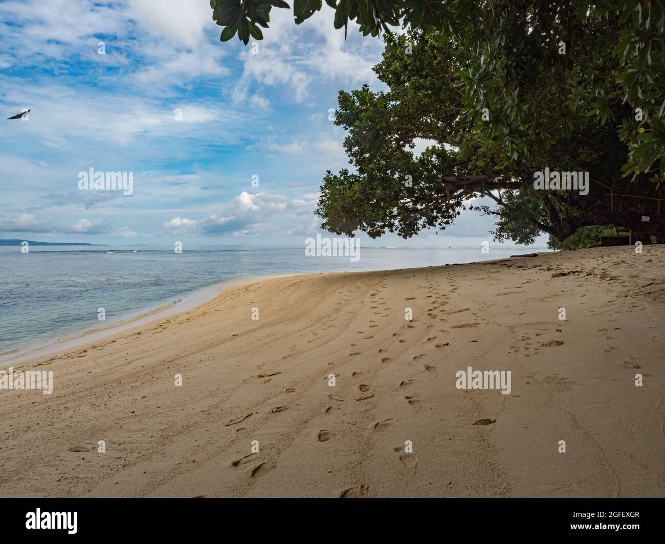 Three on the beach next to the ocean in Ora Beach Resort, Seram Island ...