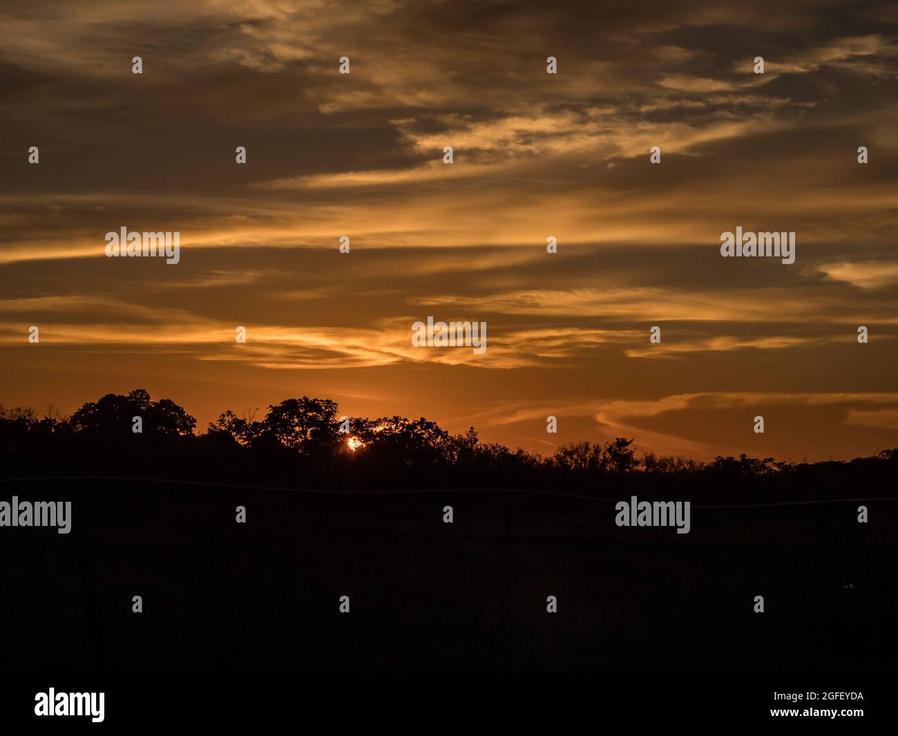 Magic sunset with beautiful clouds over the rainforest of Amazon river ...