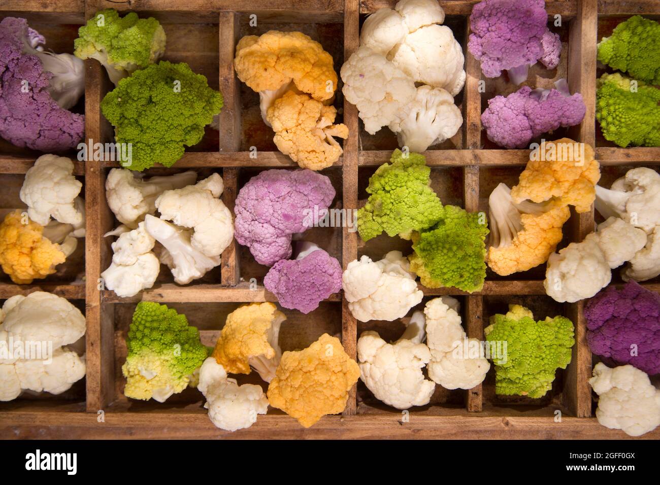 Presentation of varieties of cauliflower in her color differences Stock ...