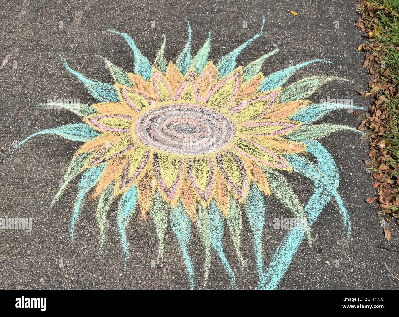 Chalk Art Pray Hard with Sunflower Stock Photo - Alamy