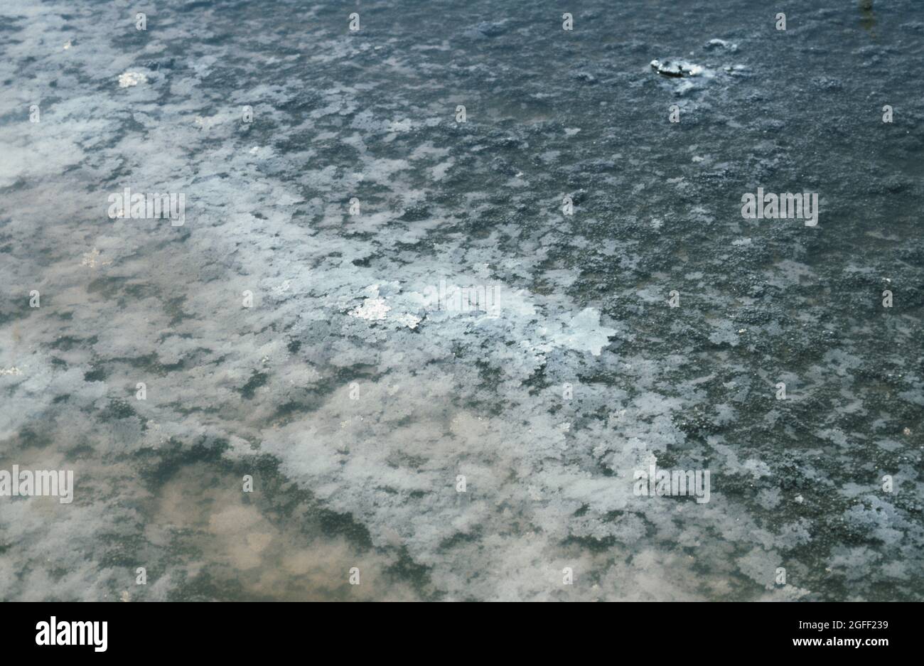 At the edge of a salt lagoon hi-res stock photography and images - Alamy