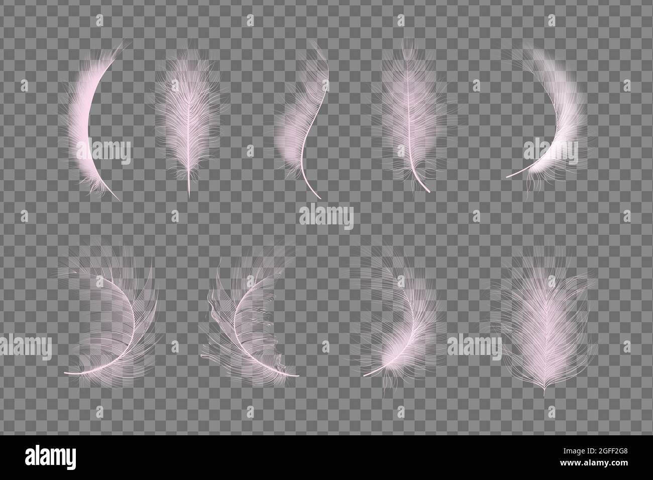 Set of flying realistic vector goose or chicken white feathers of ...