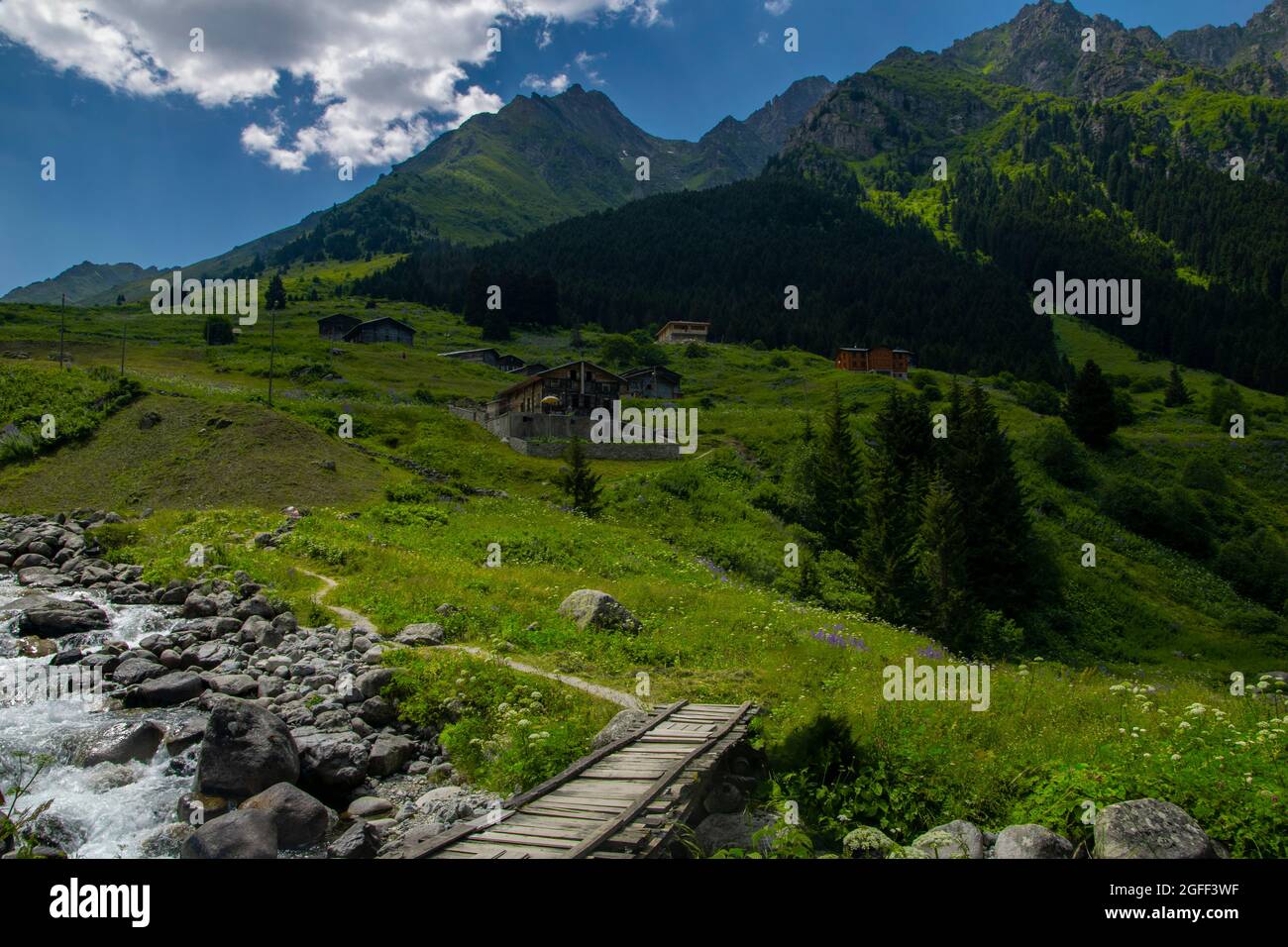 Rize is the most green city of Turkey. Rize is in the eastern part of ...