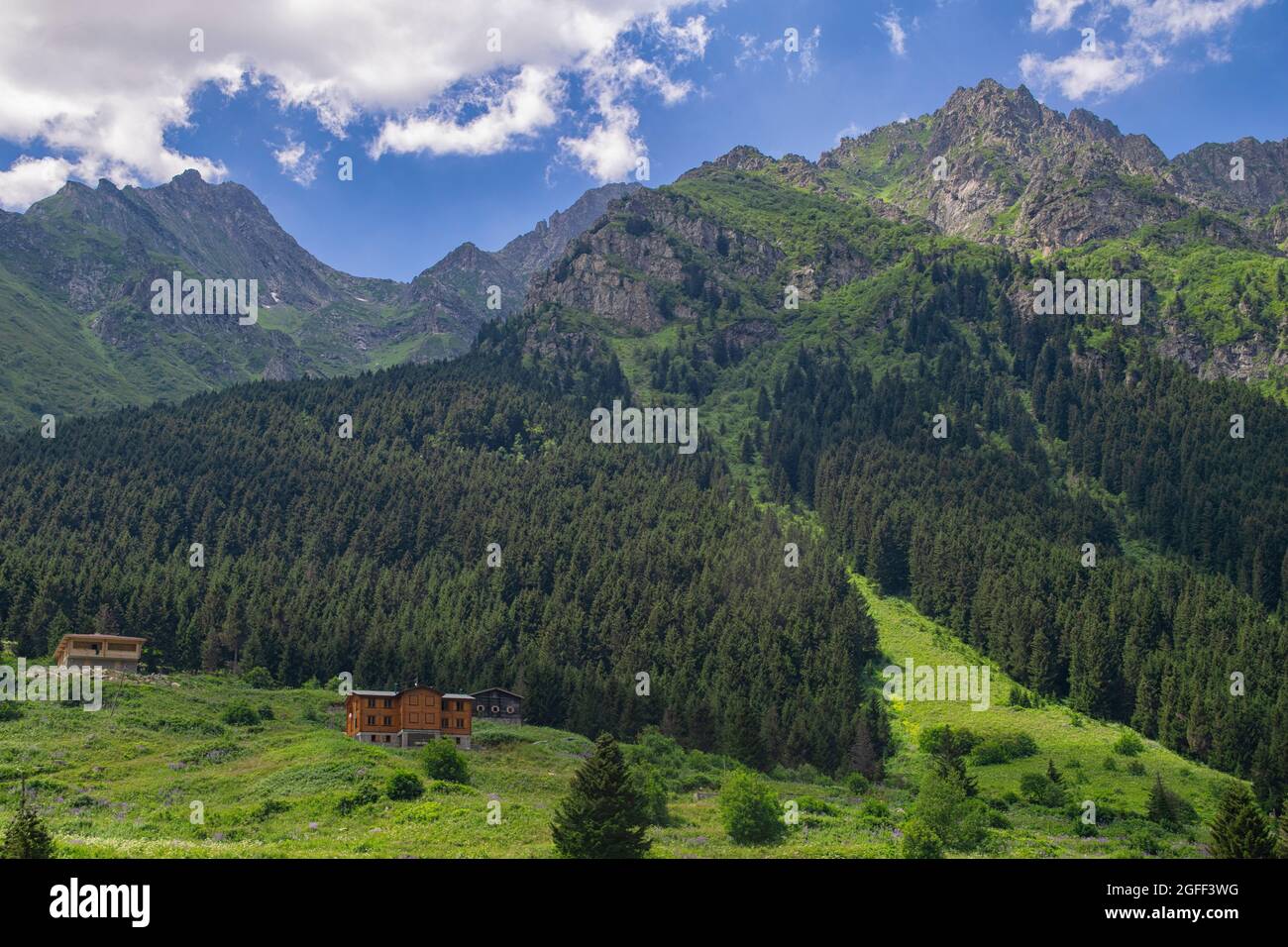 Rize is the most green city of Turkey. Rize is in the eastern part of ...