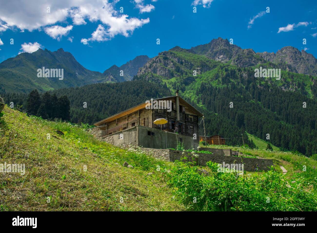 Rize is the most green city of Turkey. Rize is in the eastern part of ...
