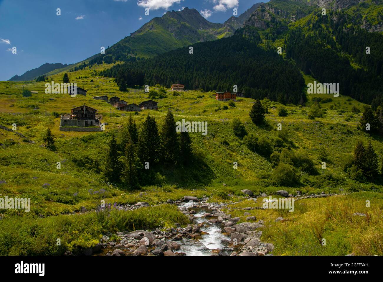Rize is the most green city of Turkey. Rize is in the eastern part of ...