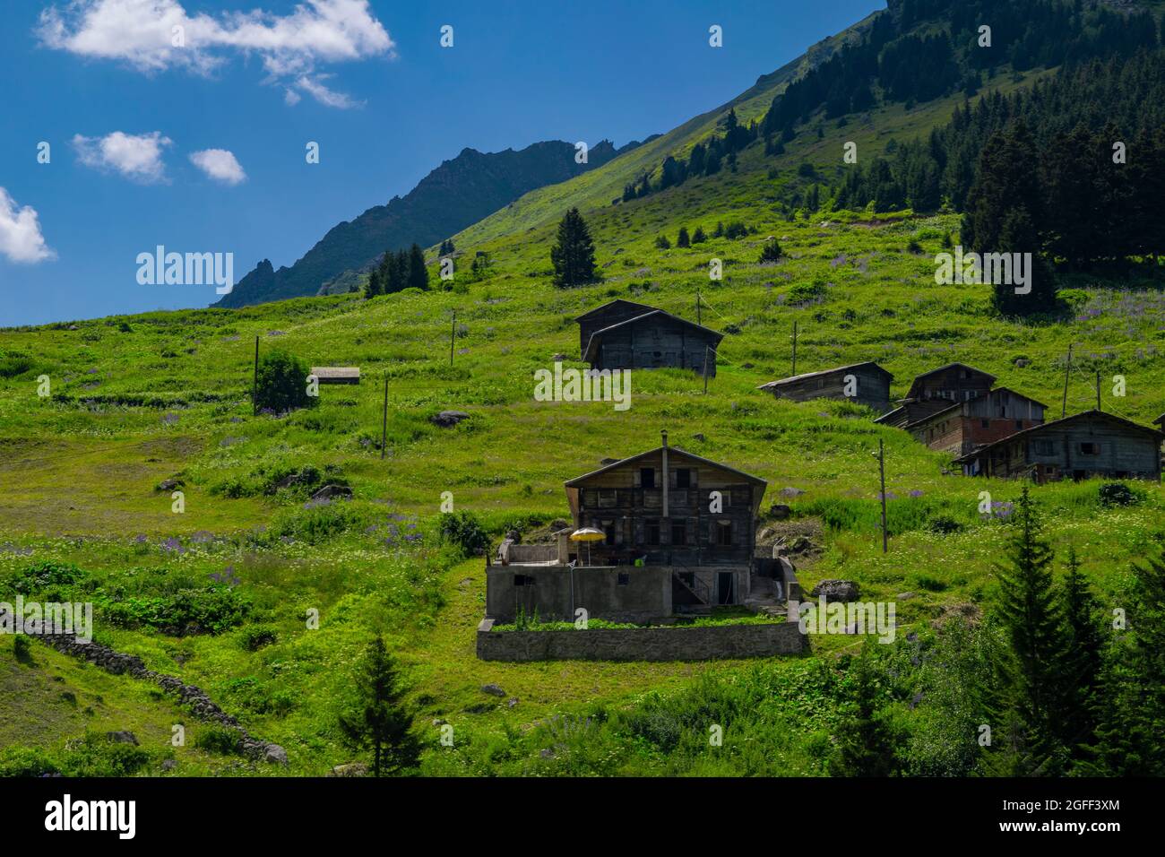 Rize is the most green city of Turkey. Rize is in the eastern part of ...