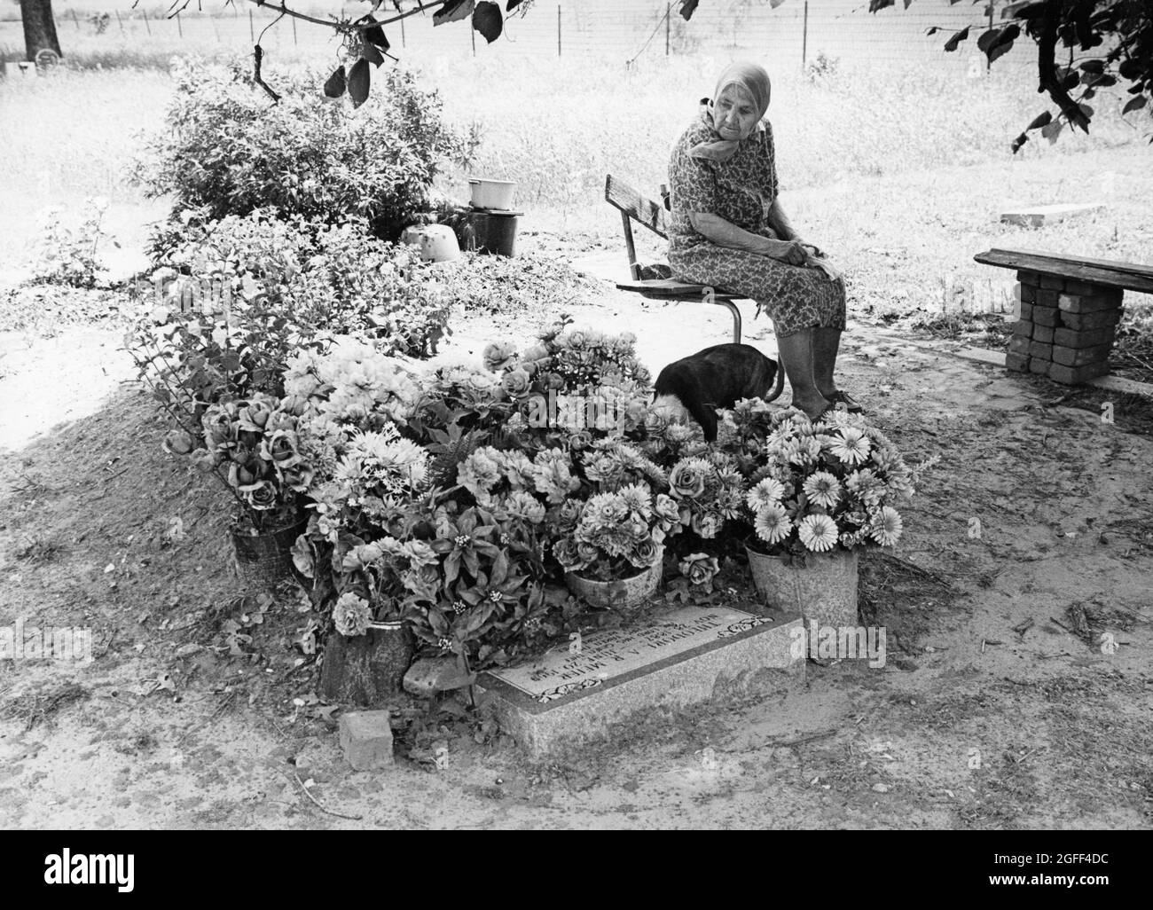 ©1977 Photo feature on elderly woman, Elizabeth Meier of Calvert, Texas ...