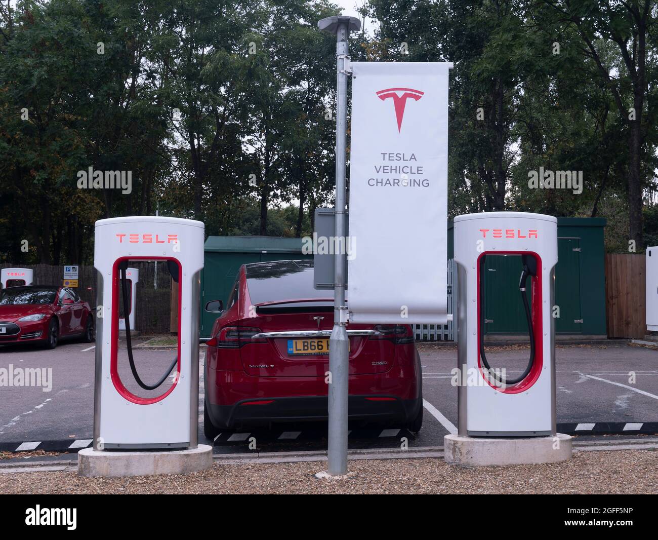 Electric vehicle charging Tesla cars and chargers Stock Photo - Alamy