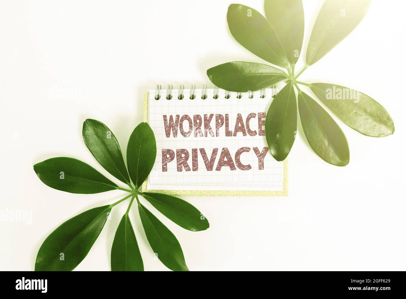 Handwriting text Workplace Privacy. Business overview protection of ...