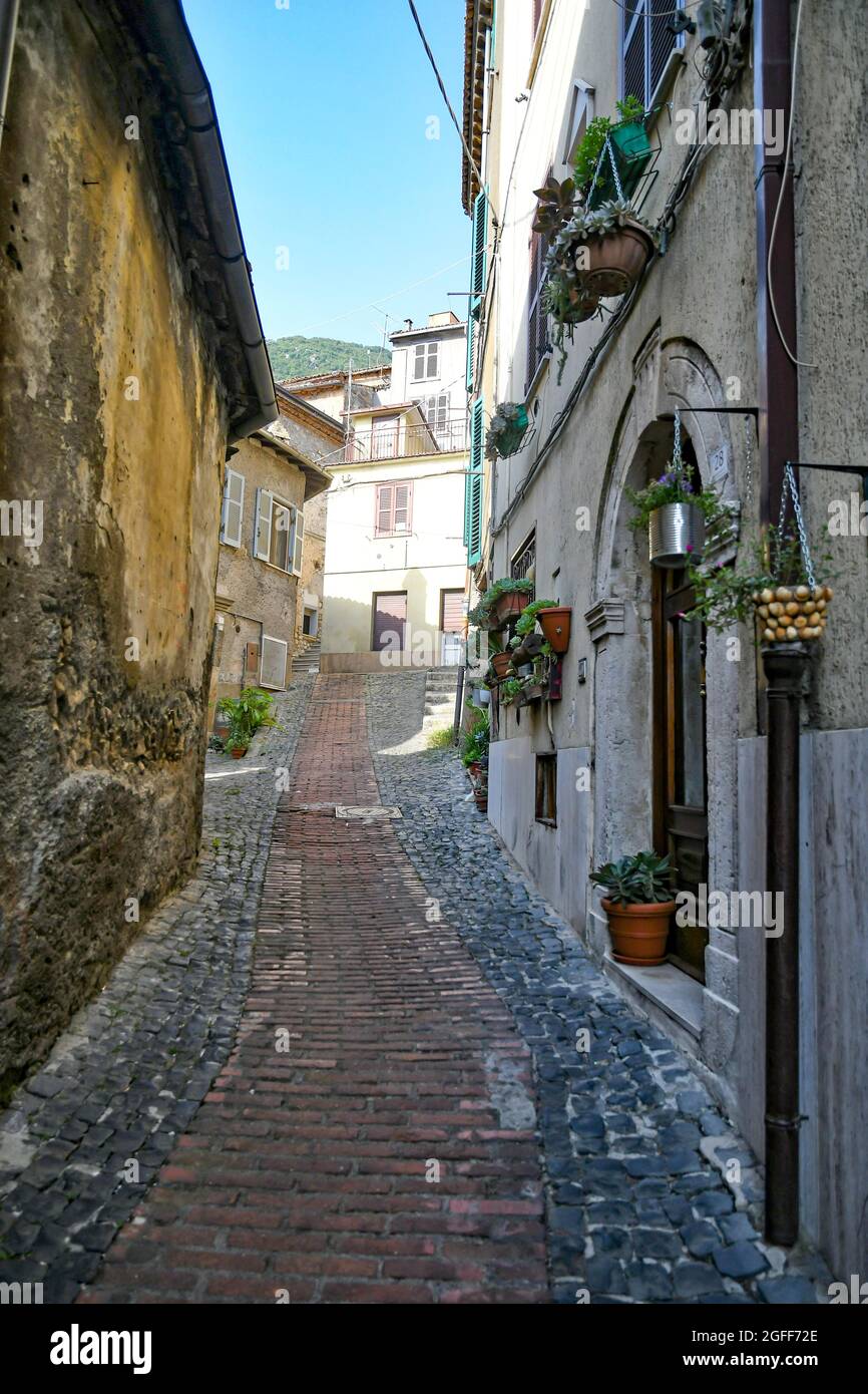 Morolo High Resolution Stock Photography and Images - Alamy