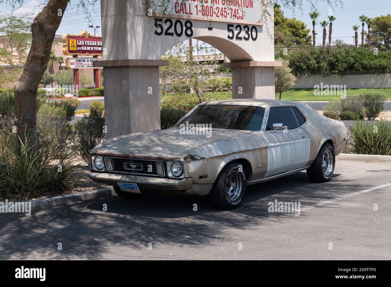 Classic Vintage Ford Mustang Stock Photo - Alamy