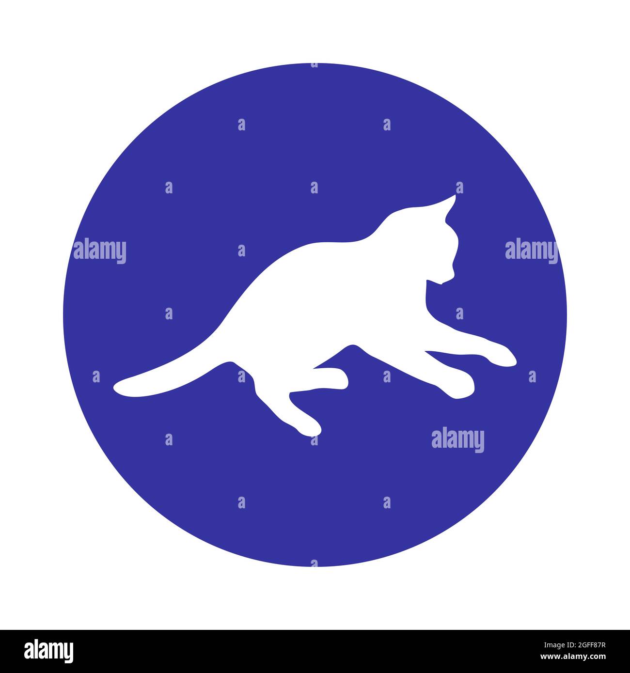 cat logo. Light white silhouette isolated from background. Cat pet in ...