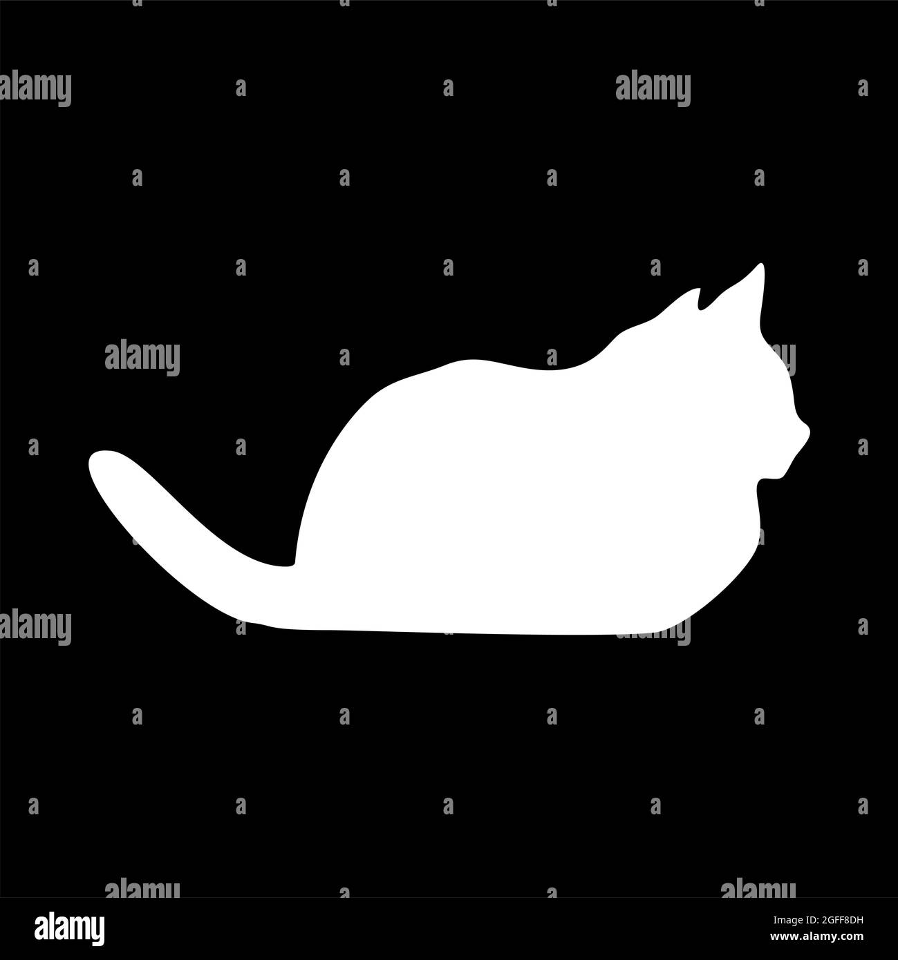 cat logo. Light white silhouette isolated from background. Cat pet in ...