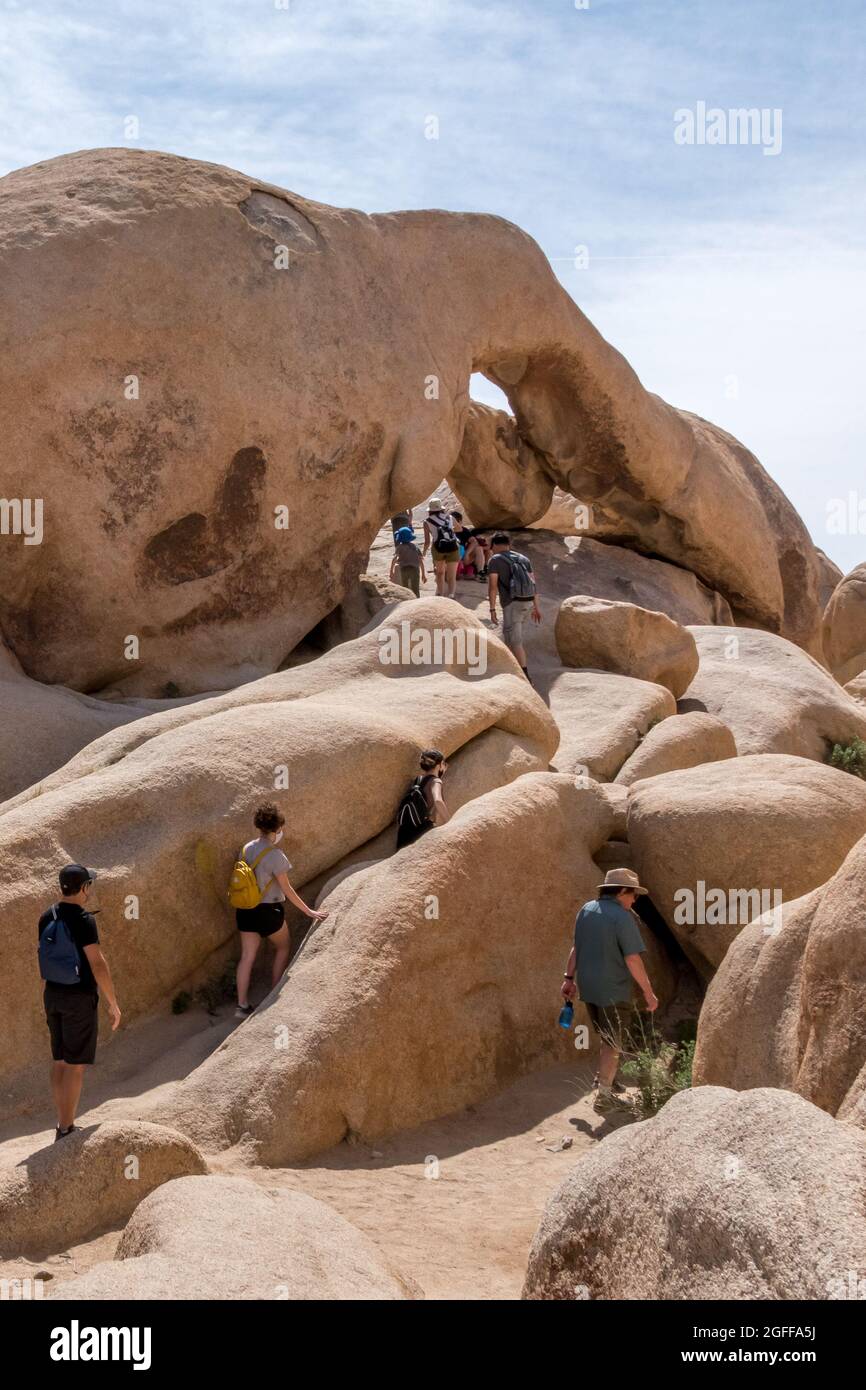 Arch rock joshua tree national park hi-res stock photography and images ...