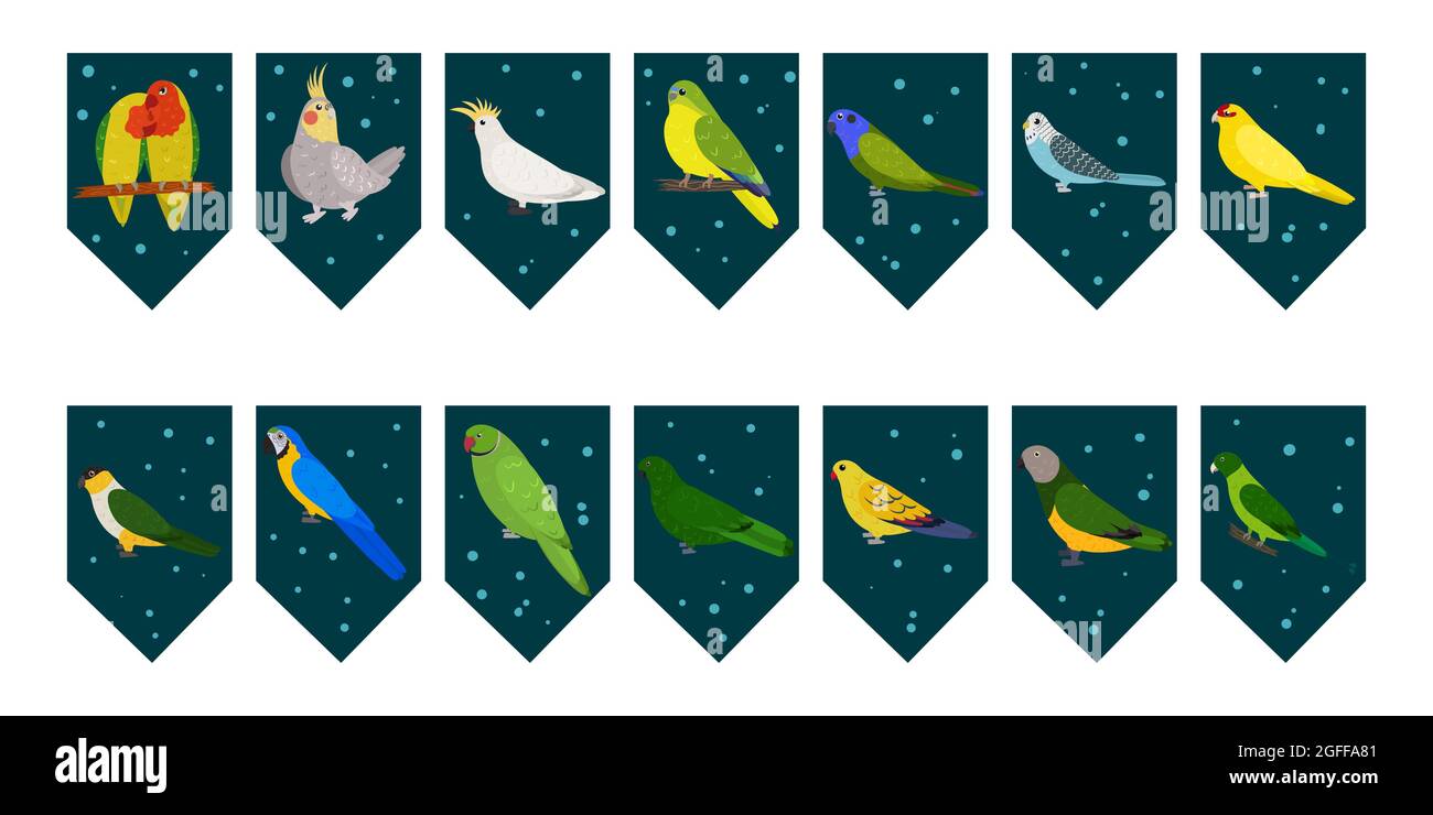 Cockatiel and child Stock Vector Images - Alamy