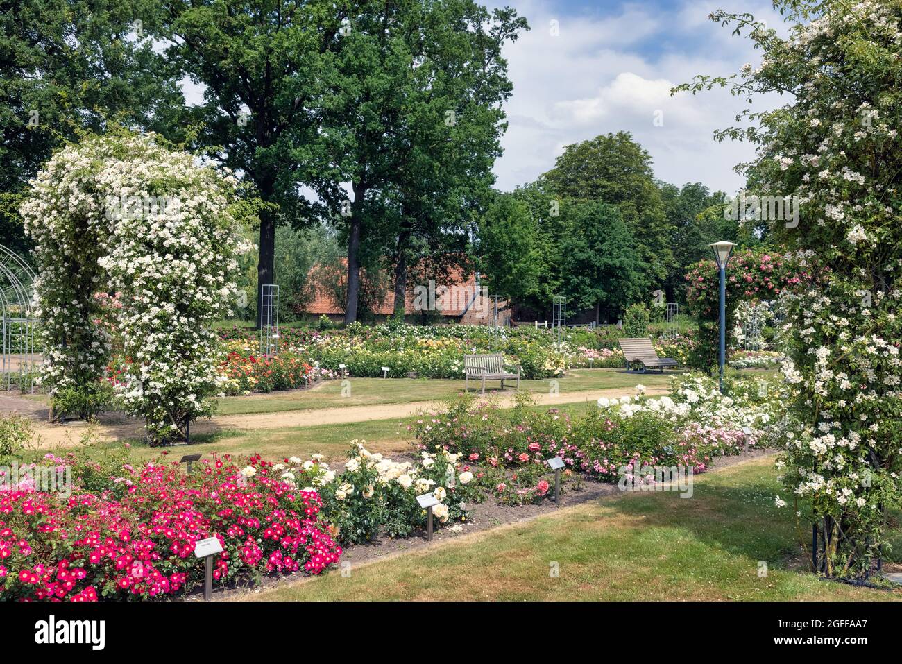 Dutch rose garden with footpath, wooden bench and pergola Stock Photo ...