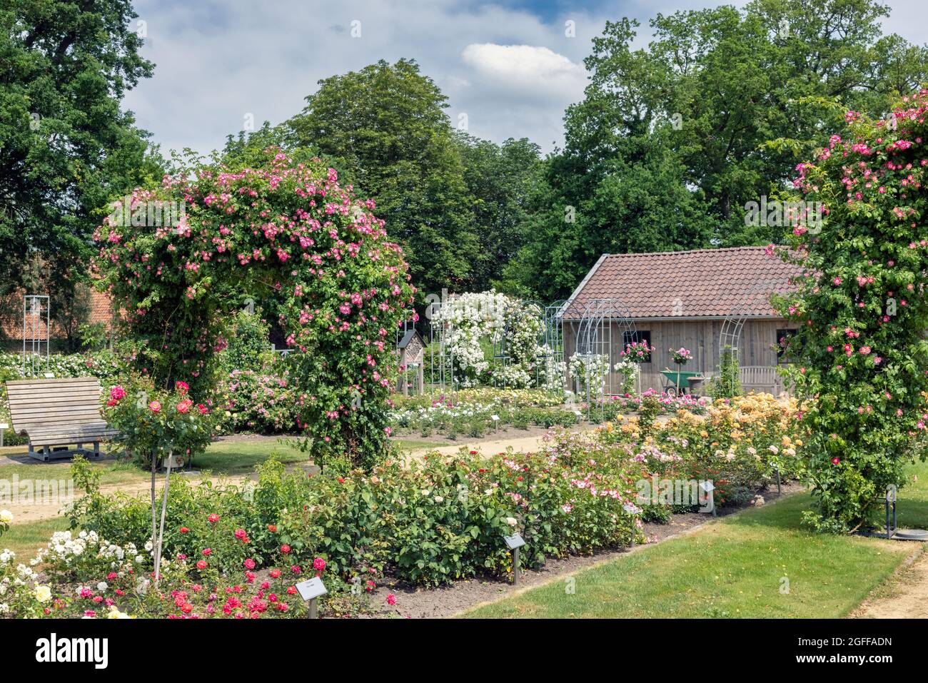 Dutch rose garden with footpath, wooden bench and pergola Stock Photo ...