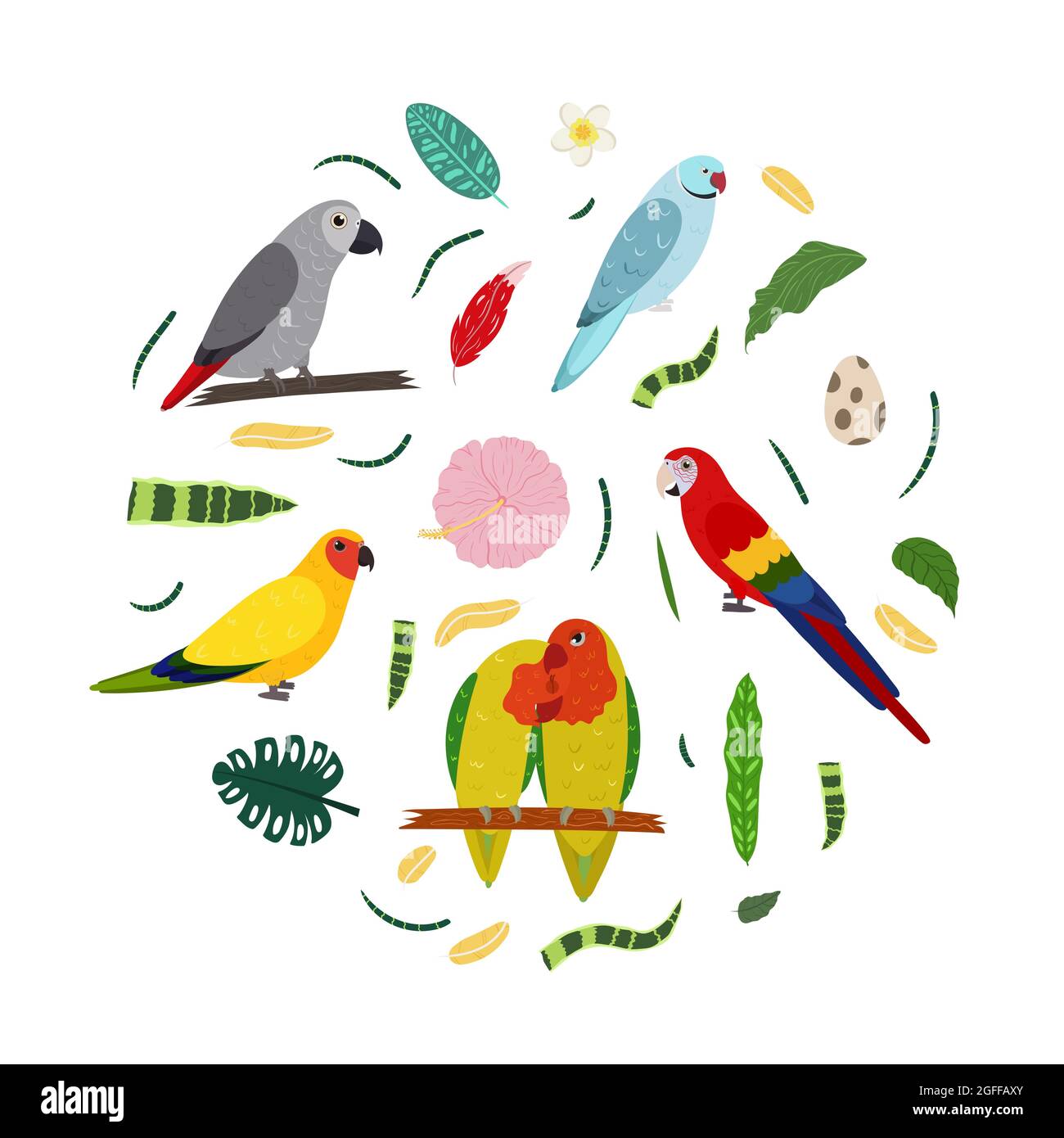 Design template with parrots in circle for kid print. Round composition ...