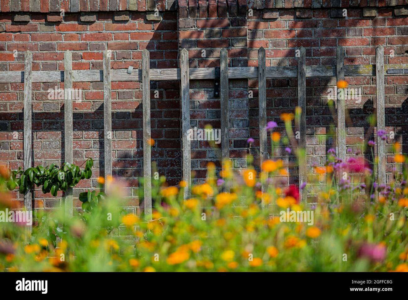 Wooden hedge hi-res stock photography and images - Alamy