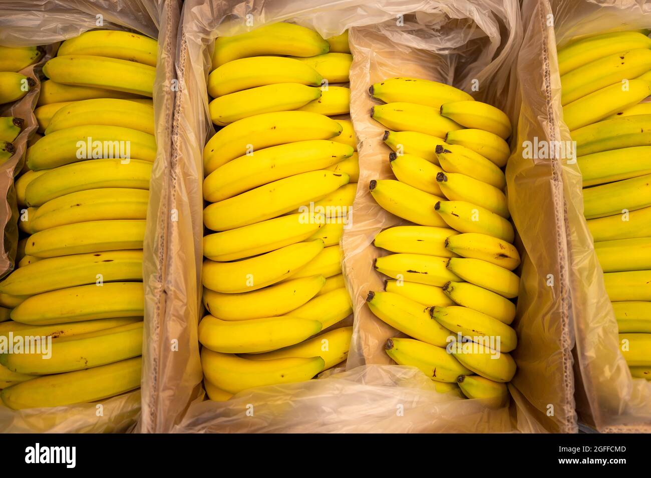 A box of yellow bananas on sale in a supermarket in the UK Stock Photo ...