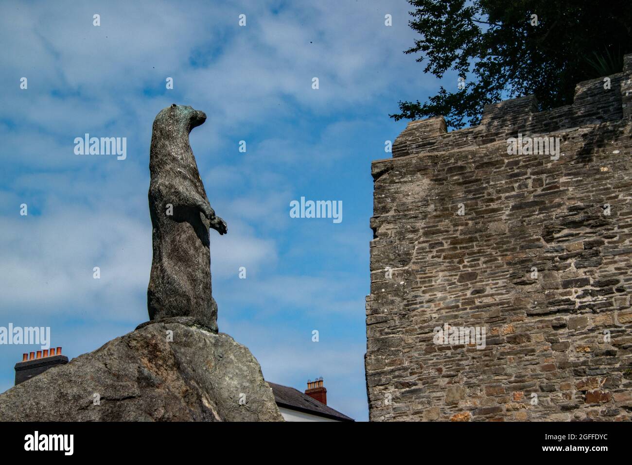 The Teifi Otter, ( Dwrgi'r Teifi) Cardegan Bay Stock Photo - Alamy