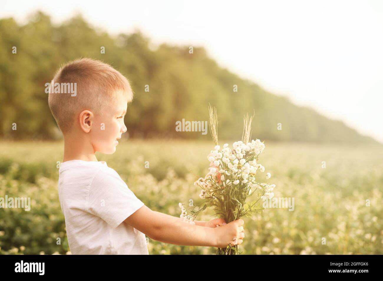 Happy little boy with flowers in the field Stock Photo - Alamy