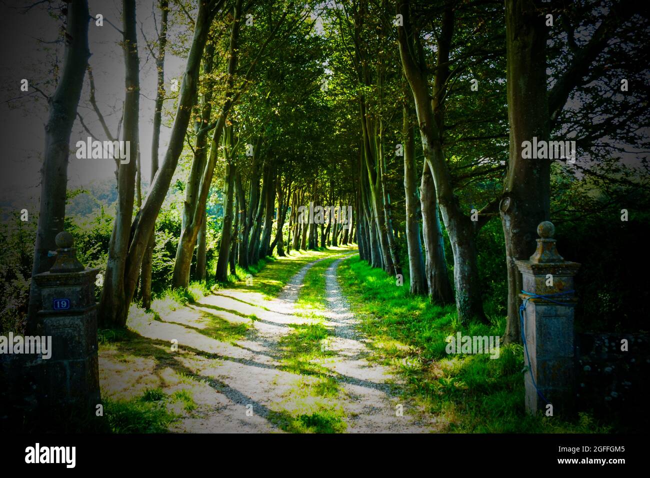 Manche department, Cotentin, Normandy Region, France Stock Photo - Alamy