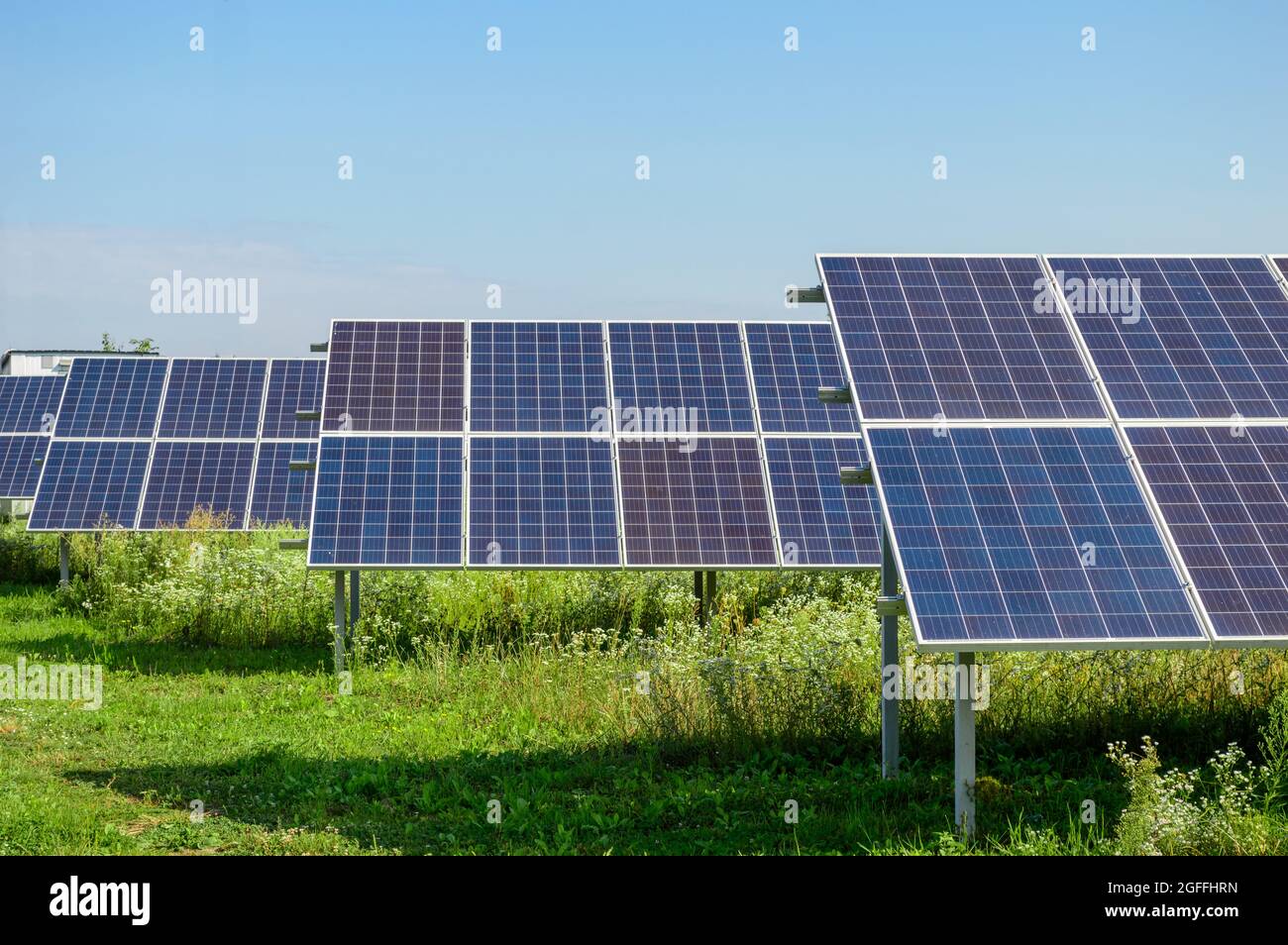 Solar panels front view above green grass under clear blue sky on a ...
