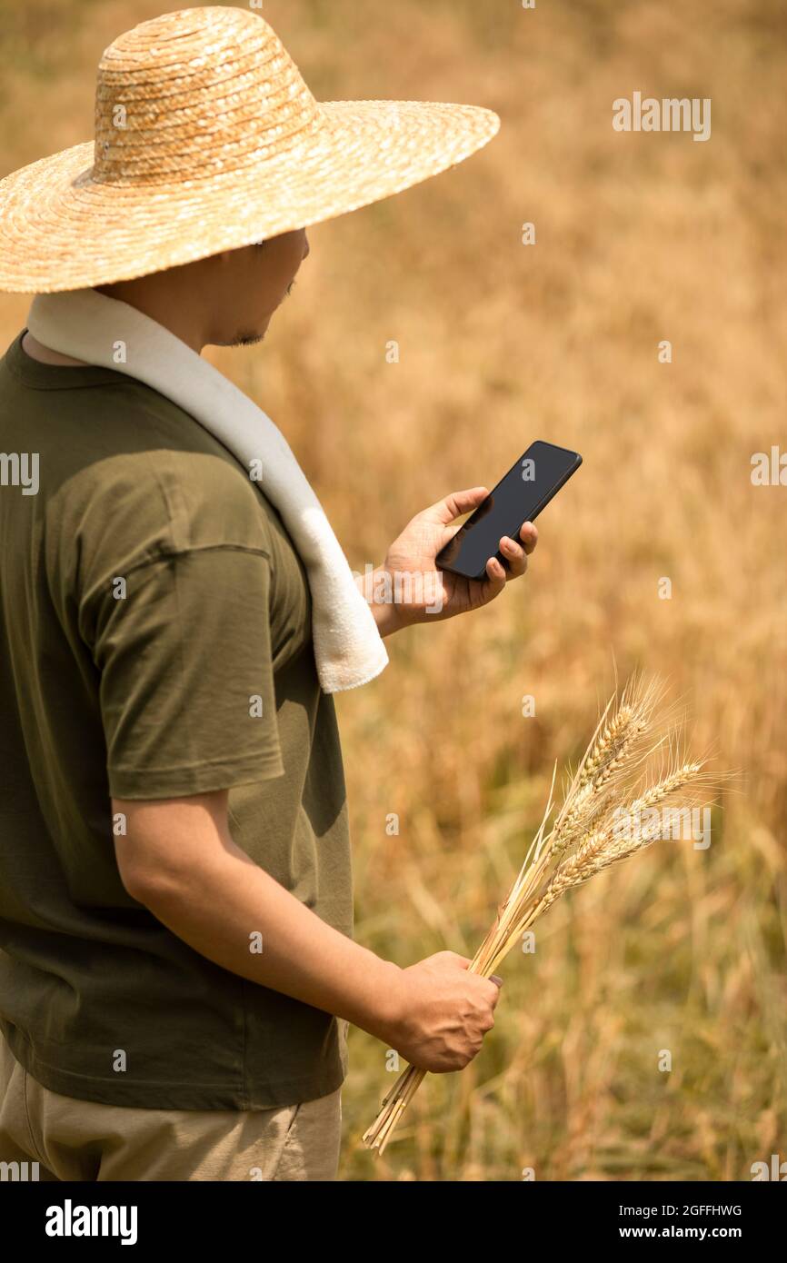 Beijing phone rural hi-res stock photography and images - Alamy
