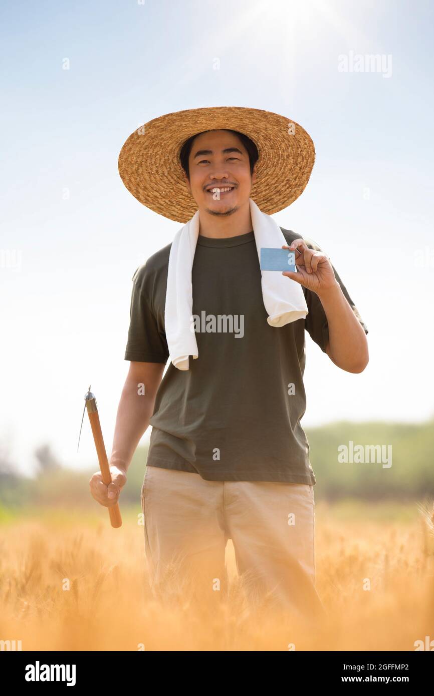 Farmer showing bank card in wheat field Stock Photo - Alamy