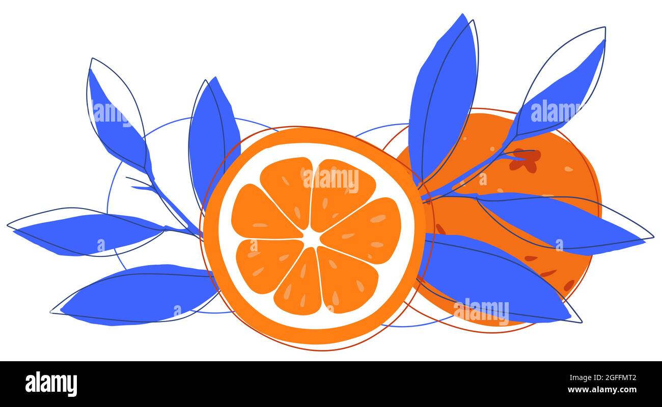 Orange and slice doodle hand drawn. Summer yellow fruit. Vector ...