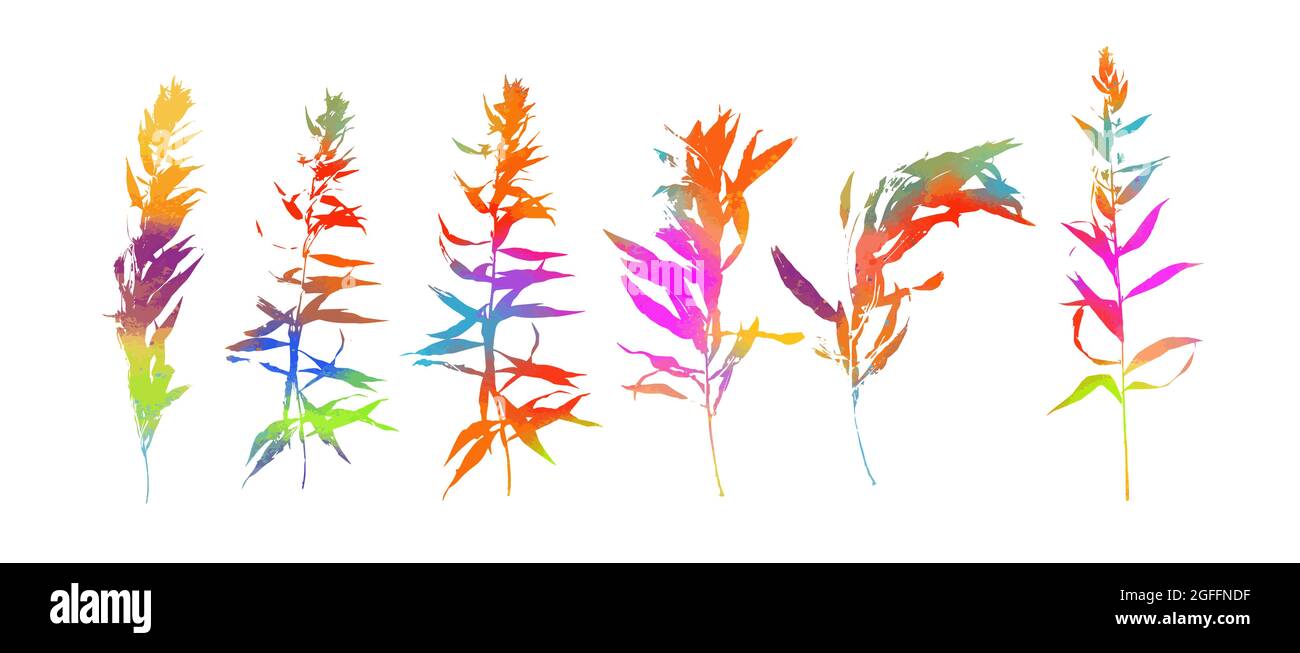 The object is a graceful multicolored twig with leaves. Set of rainbow ...