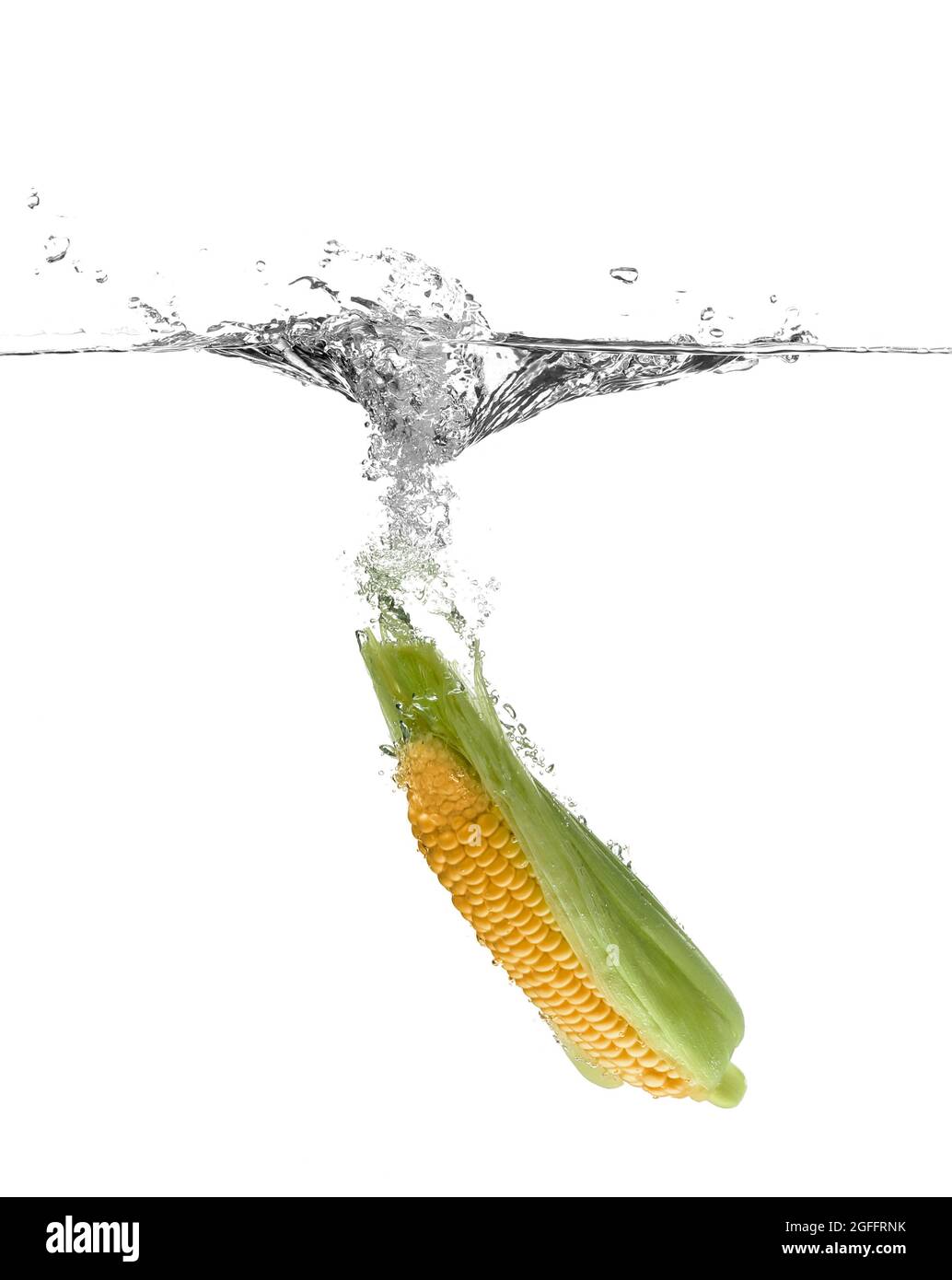 Unpeeled corn falling into water on white background Stock Photo - Alamy