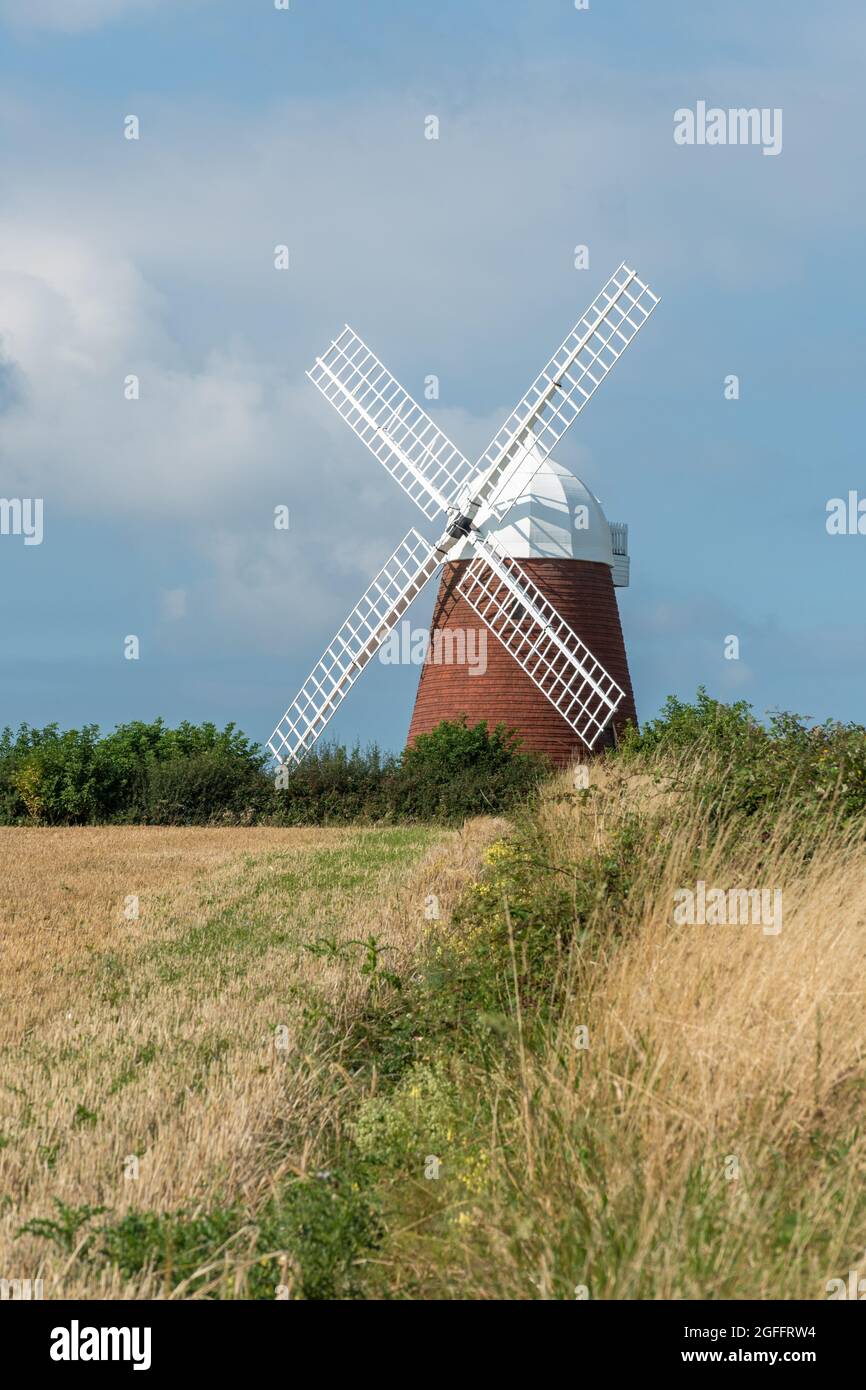 Halnaker Windmill in the South Downs National Park in West Sussex ...