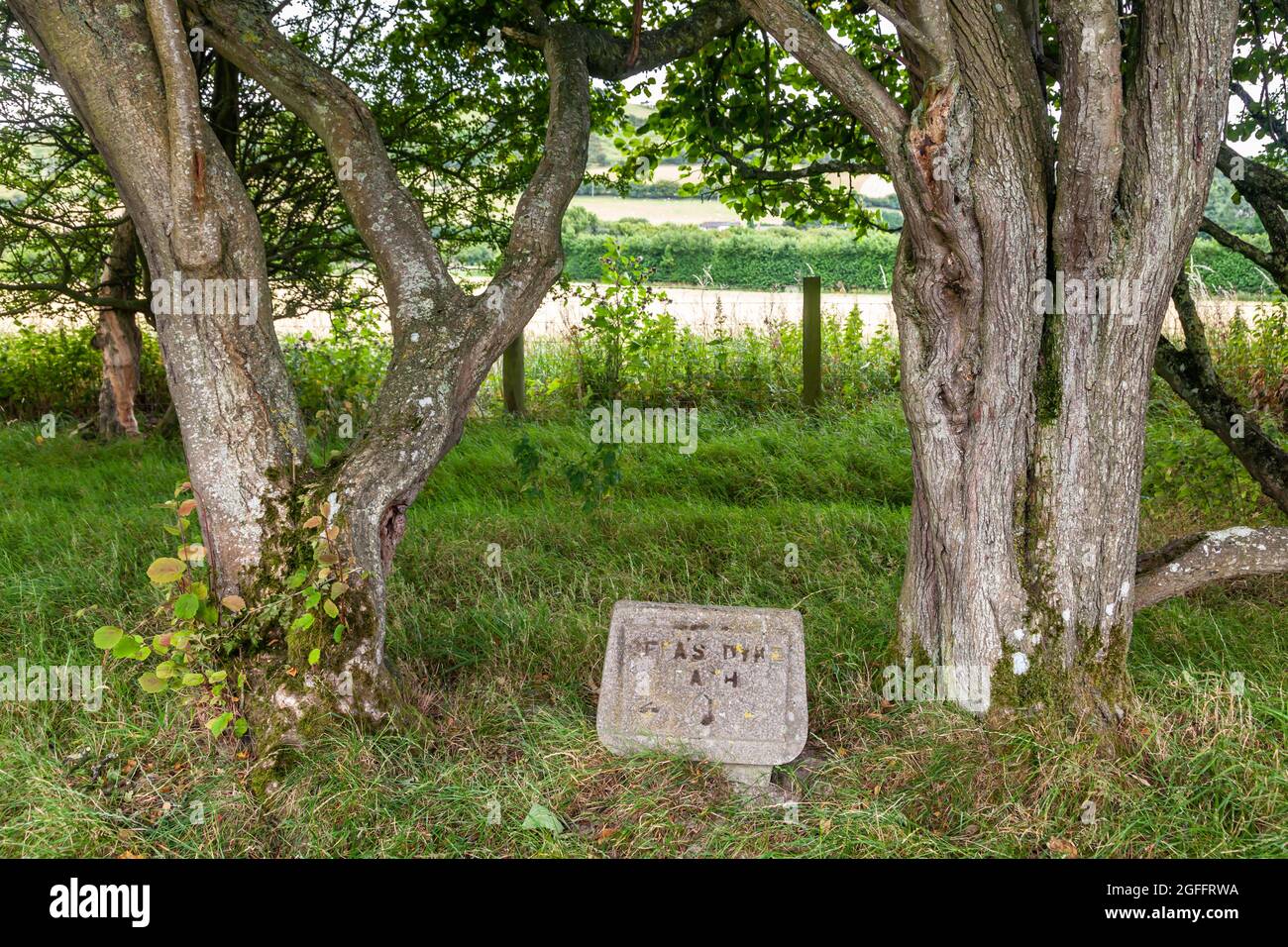Stone path marker hi-res stock photography and images - Alamy