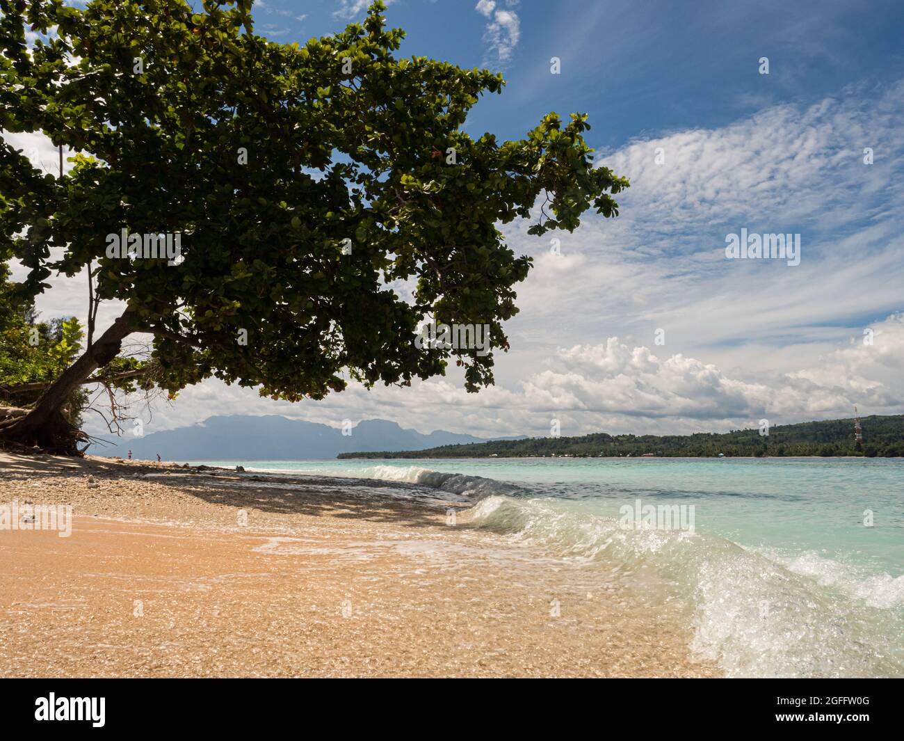 Tree on the beautiful tropical beach on one of Seven Islands, near the ...