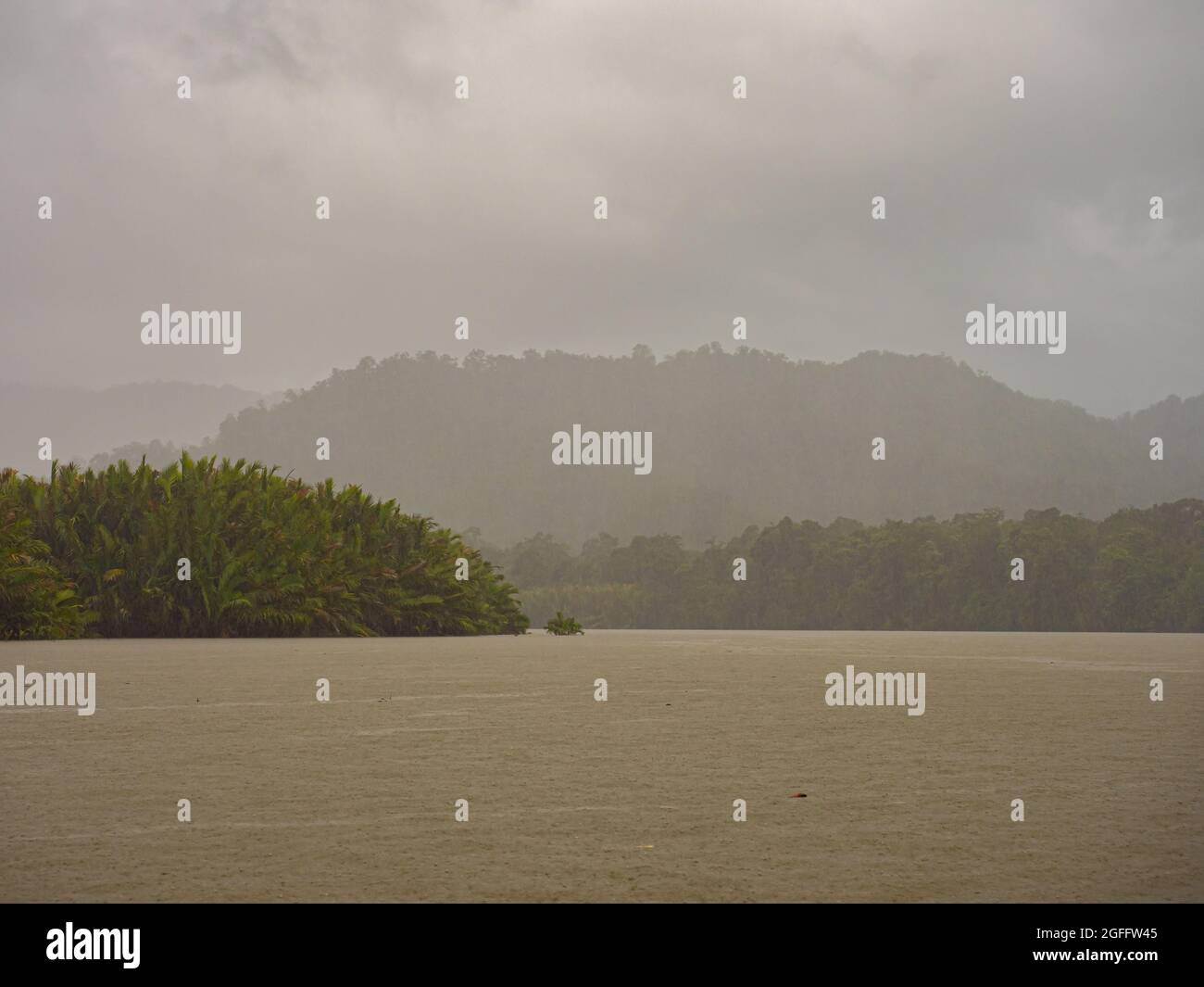 Tropical forest around Arguni Bay, Bird's Head Peninsula, West Papua ...