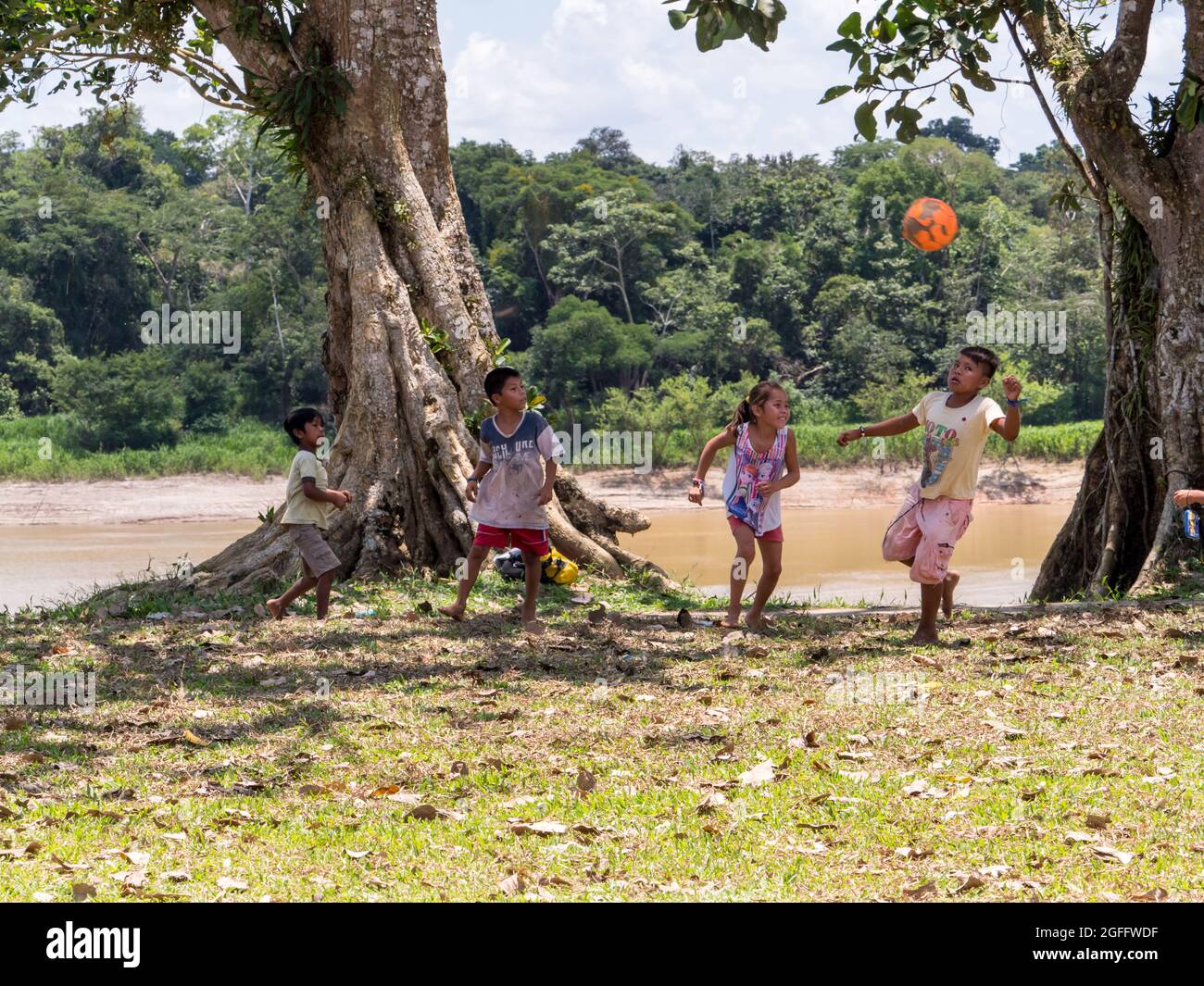Indian children forest play hi-res stock photography and images - Alamy