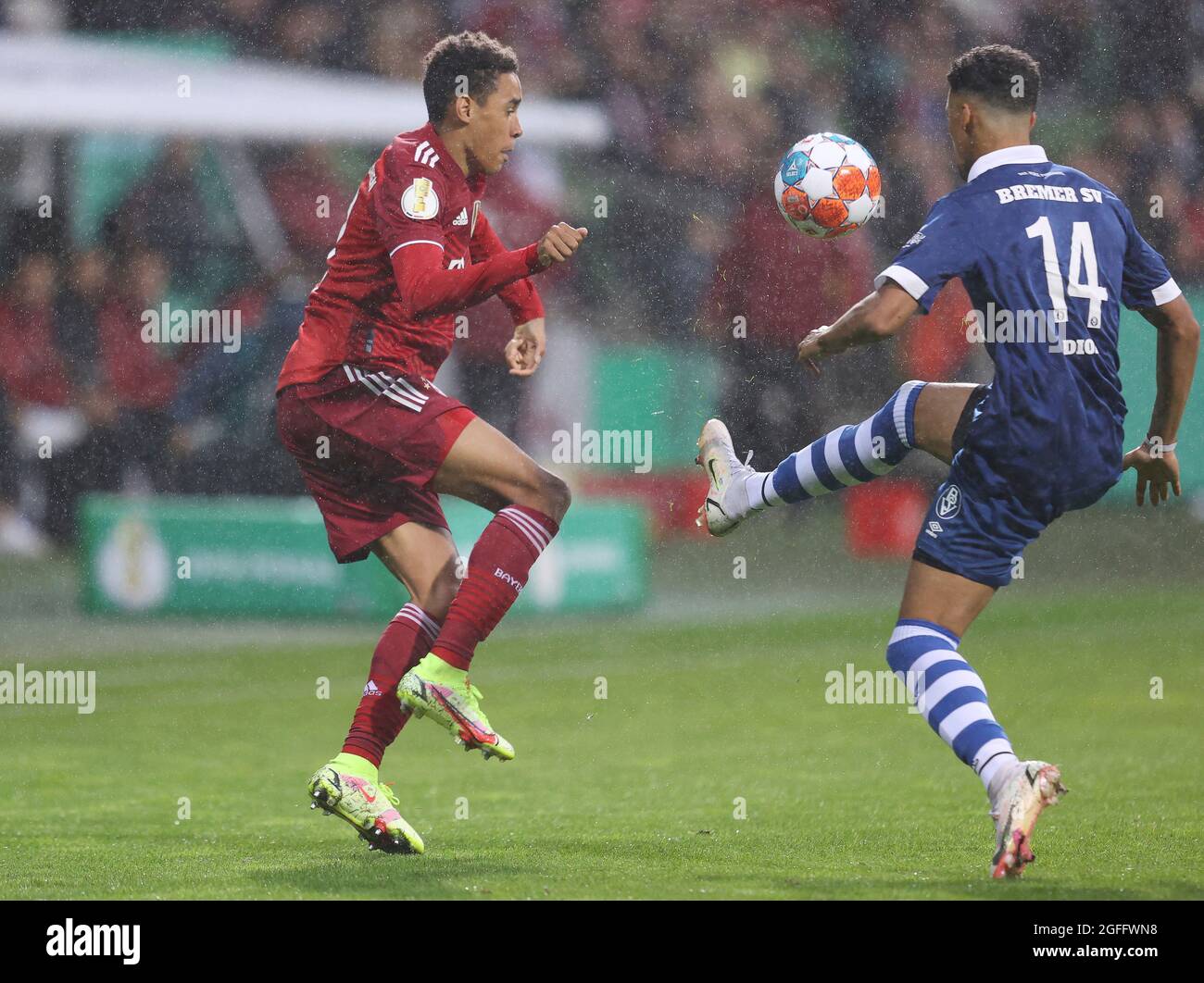 Lamine diop hi-res stock photography and images - Alamy