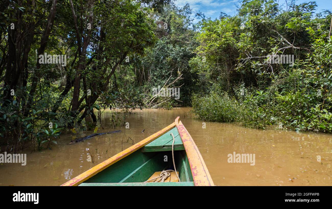 View from the wooden boat on the wall of green tropical forest in the ...