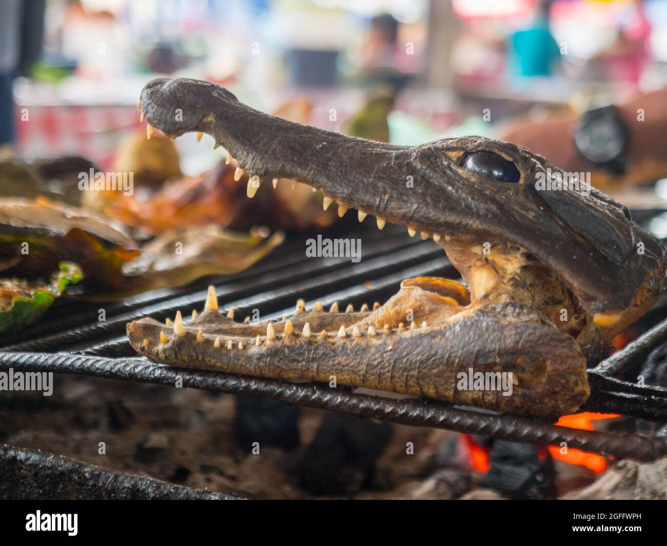 Iquitos, Peru - December 2019: Baked caiman head in the bazaar on the ...