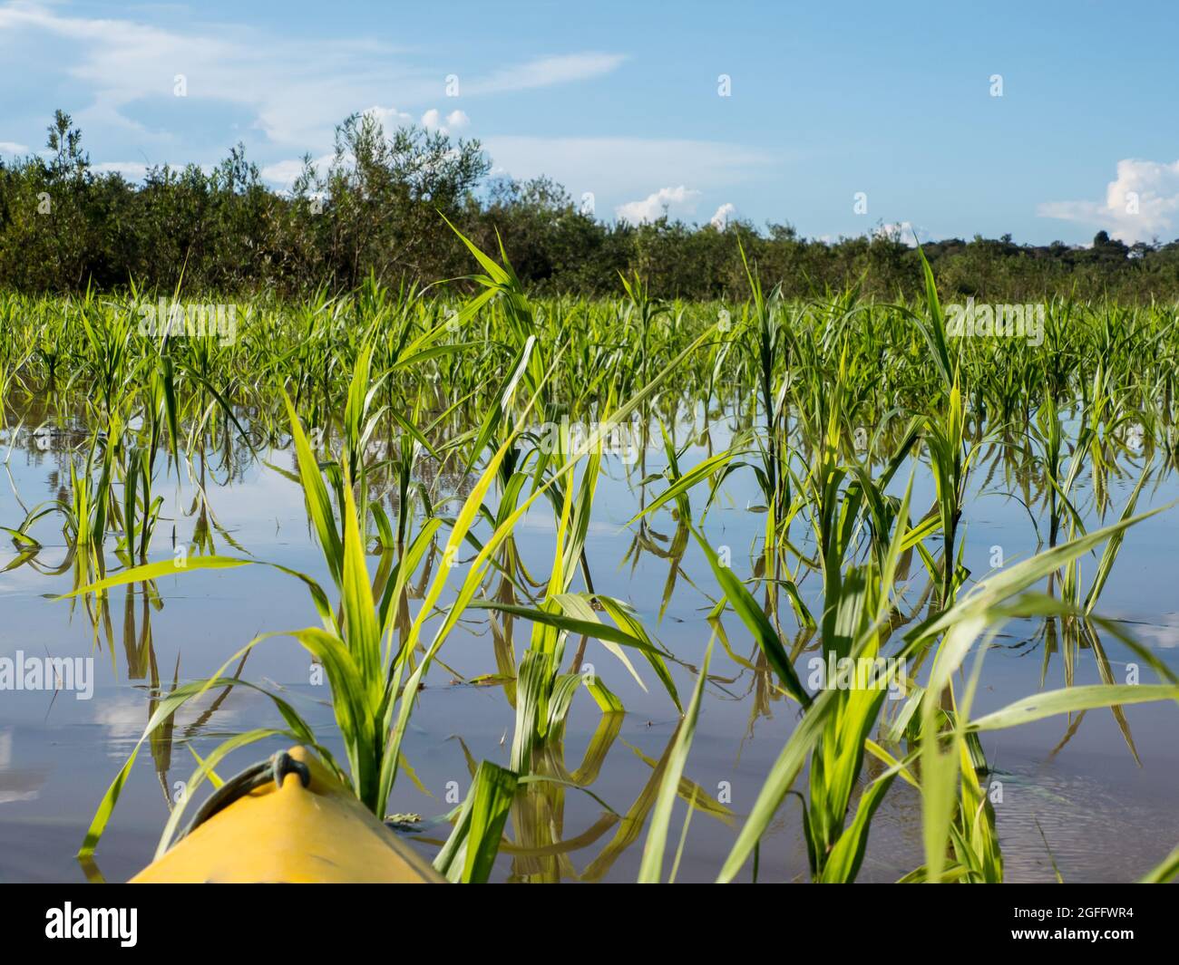 Tributary river basin hi-res stock photography and images - Alamy
