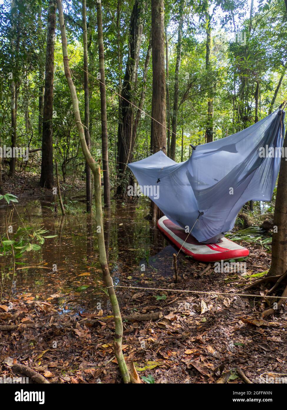 Jungle, Brazil - Dec 2019: Camp with hammocks in the amazon jungle ...