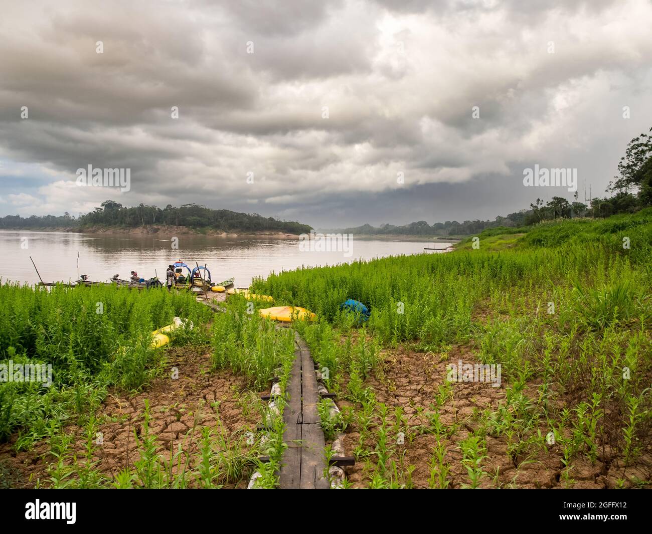 Mosquito palm tree hi-res stock photography and images - Alamy
